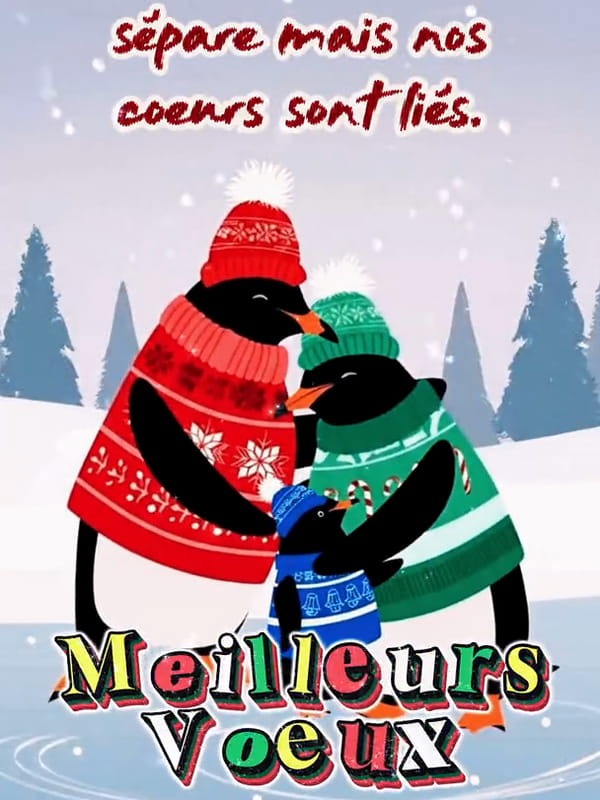 Texte carte de Noël famille à distance 🐧 - JolieCarte