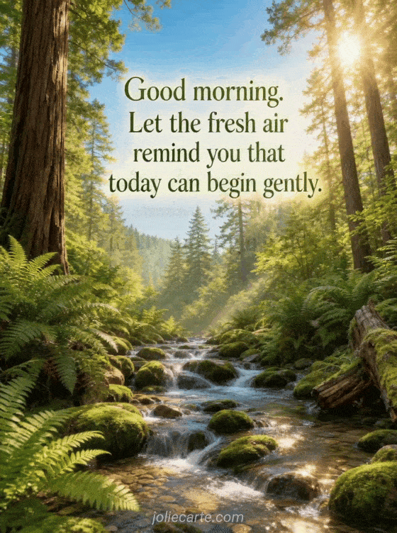 good morning images with nature - Free card 🌿 - JolieCarte