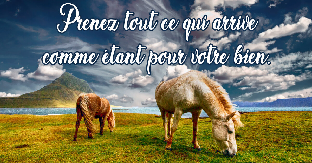 Carte Pensée Positive : Voir le bon côté des choses - JolieCarte