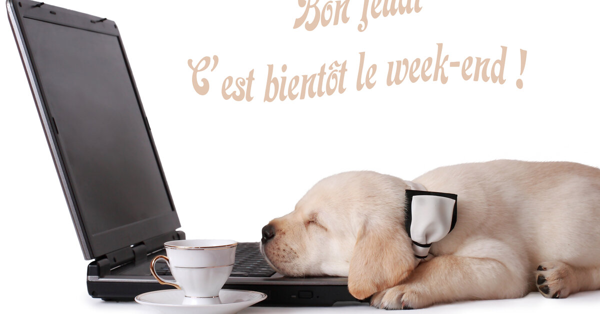 Bon jeudi ! Carte drôle avec chiot pour le week-end - JolieCarte