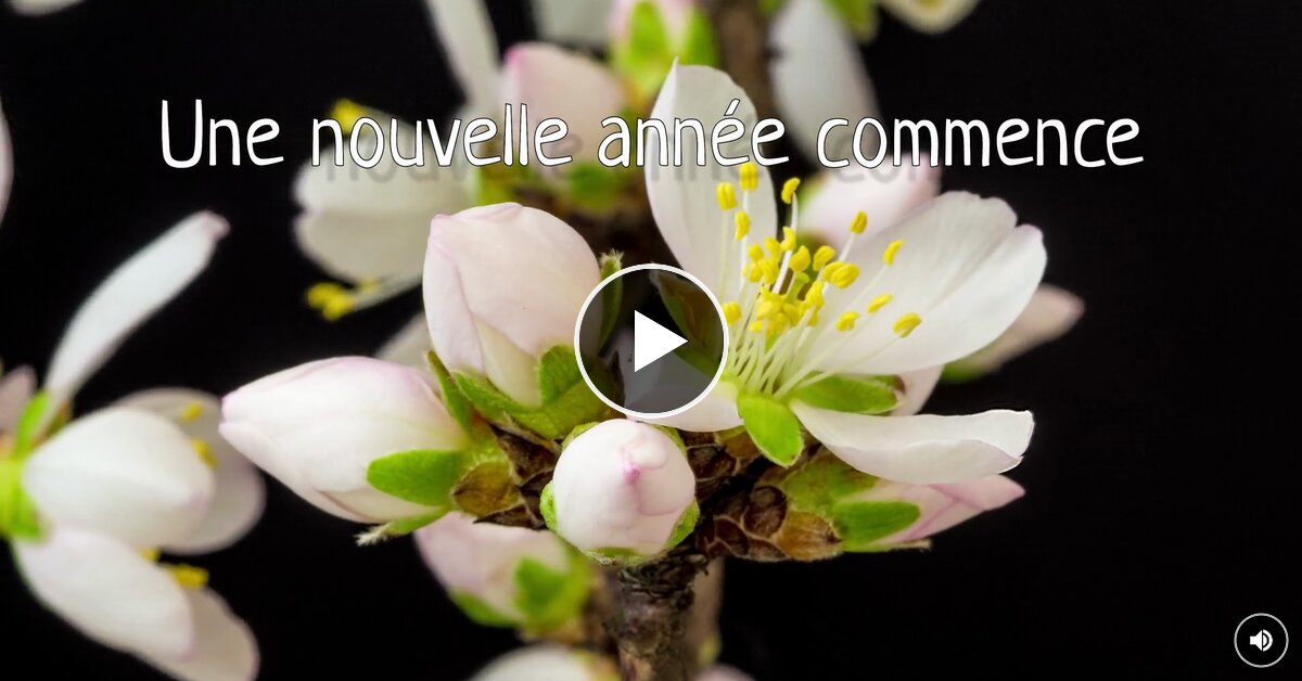 Free Traditional Greeting Cards | JolieCarte