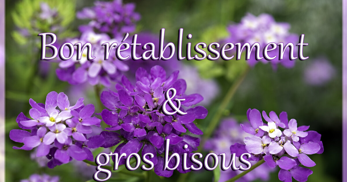 Carte Bon Rétablissement Fleurs Violettes | Vœux de Guérison - JolieCarte