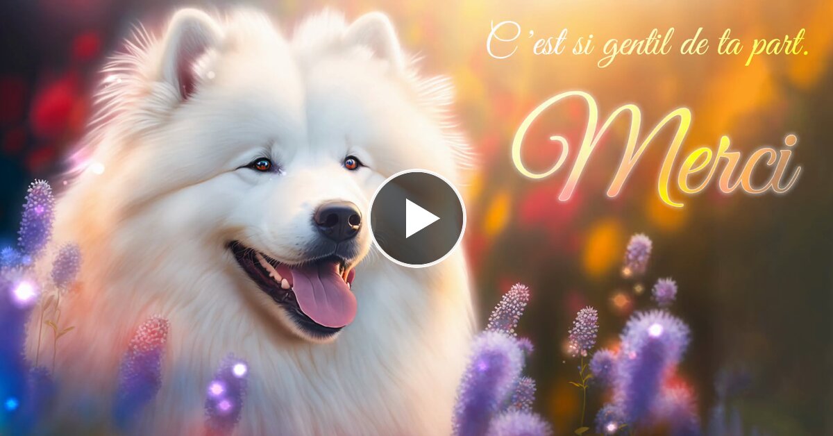Carte de Remerciement Mignonne avec Chien | Merci - JolieCarte