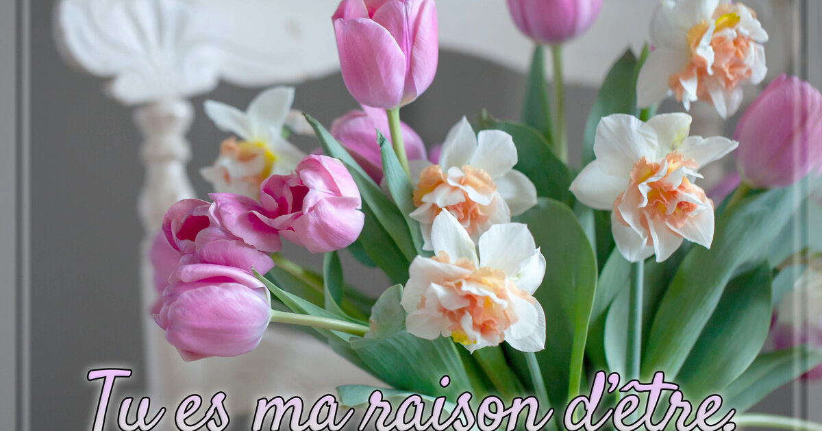 Carte d'amour : Tu es ma raison d'être | Fleurs roses - JolieCarte