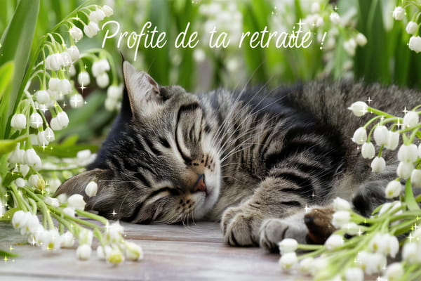 Carte Félicitations Retraite | Chat et Muguet Adorable - JolieCarte